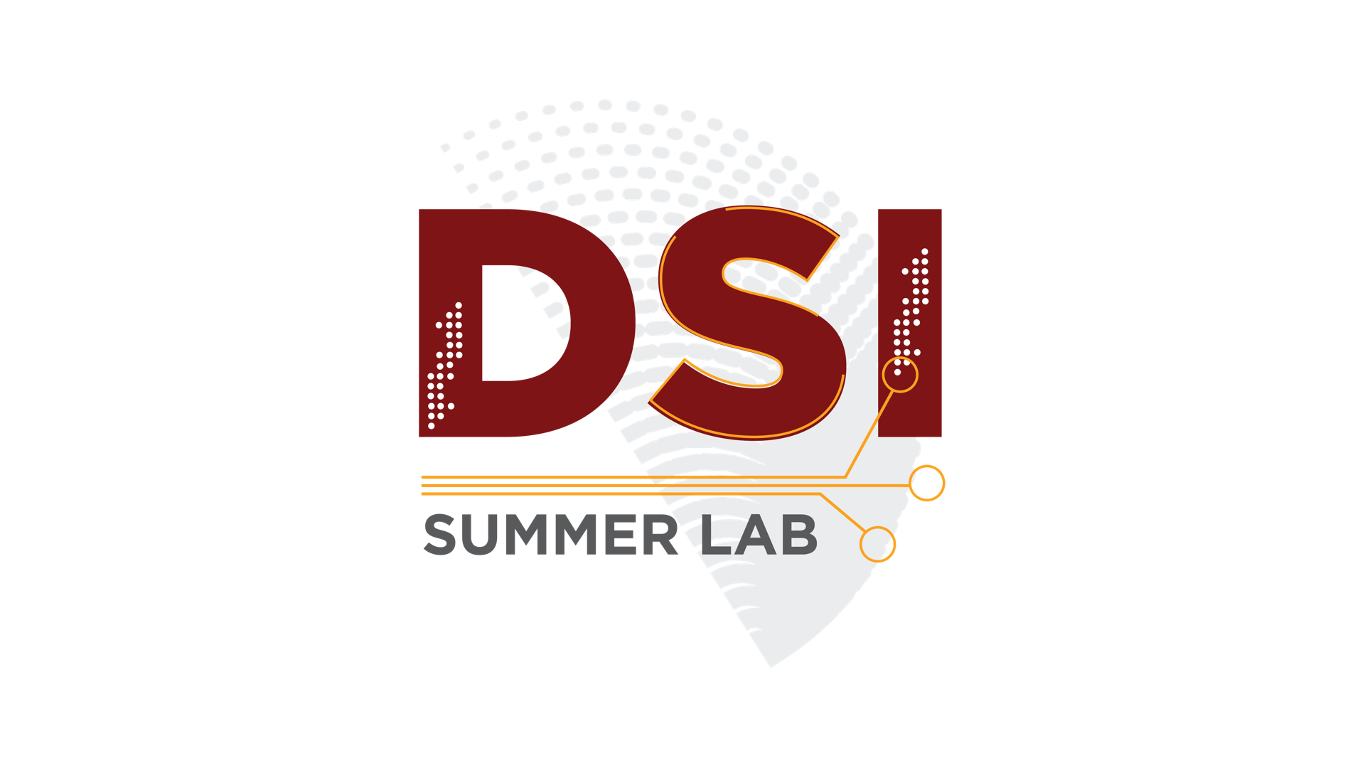 DSI Summer Lab Returns In-Person With 49 Students From Across the U.S ...